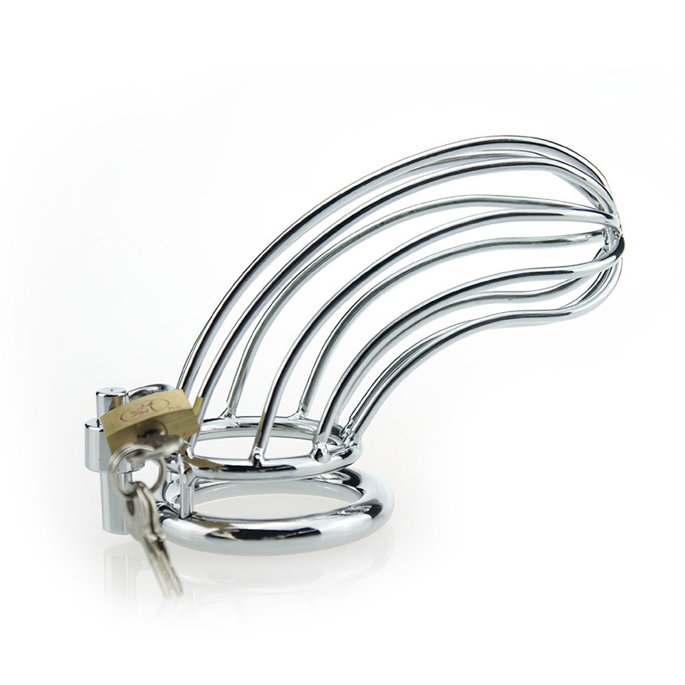 Permanent Chastity Lock (3 Rings) – MChastity